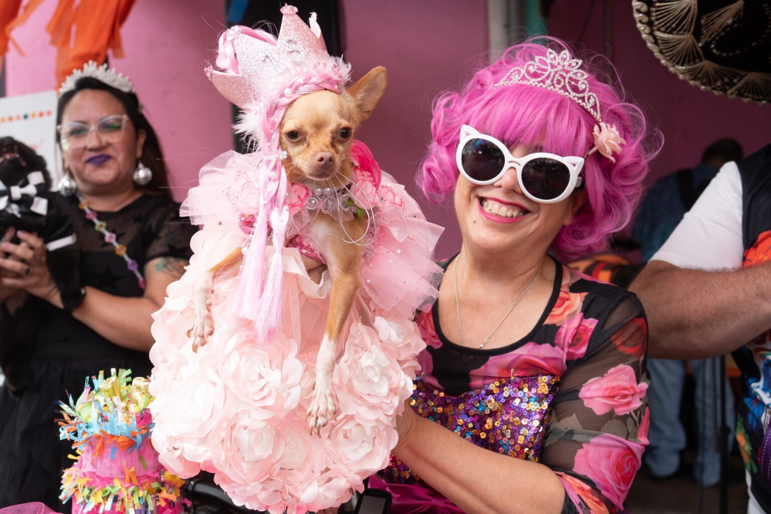 Events – Barrio Dogs